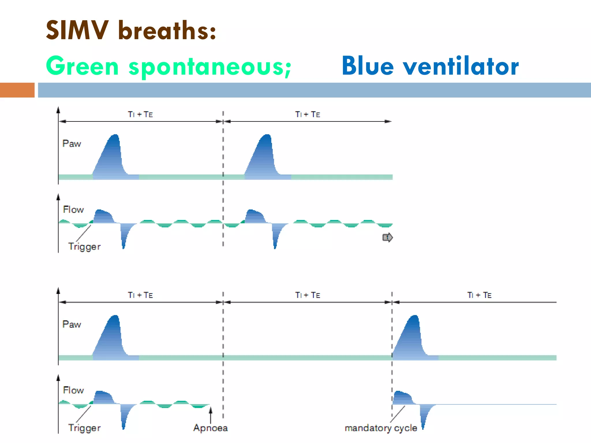 Basics of neonatal ventilation 1 | PDF