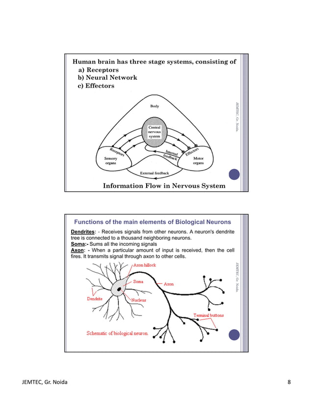 Basics of Neural Networks | PDF