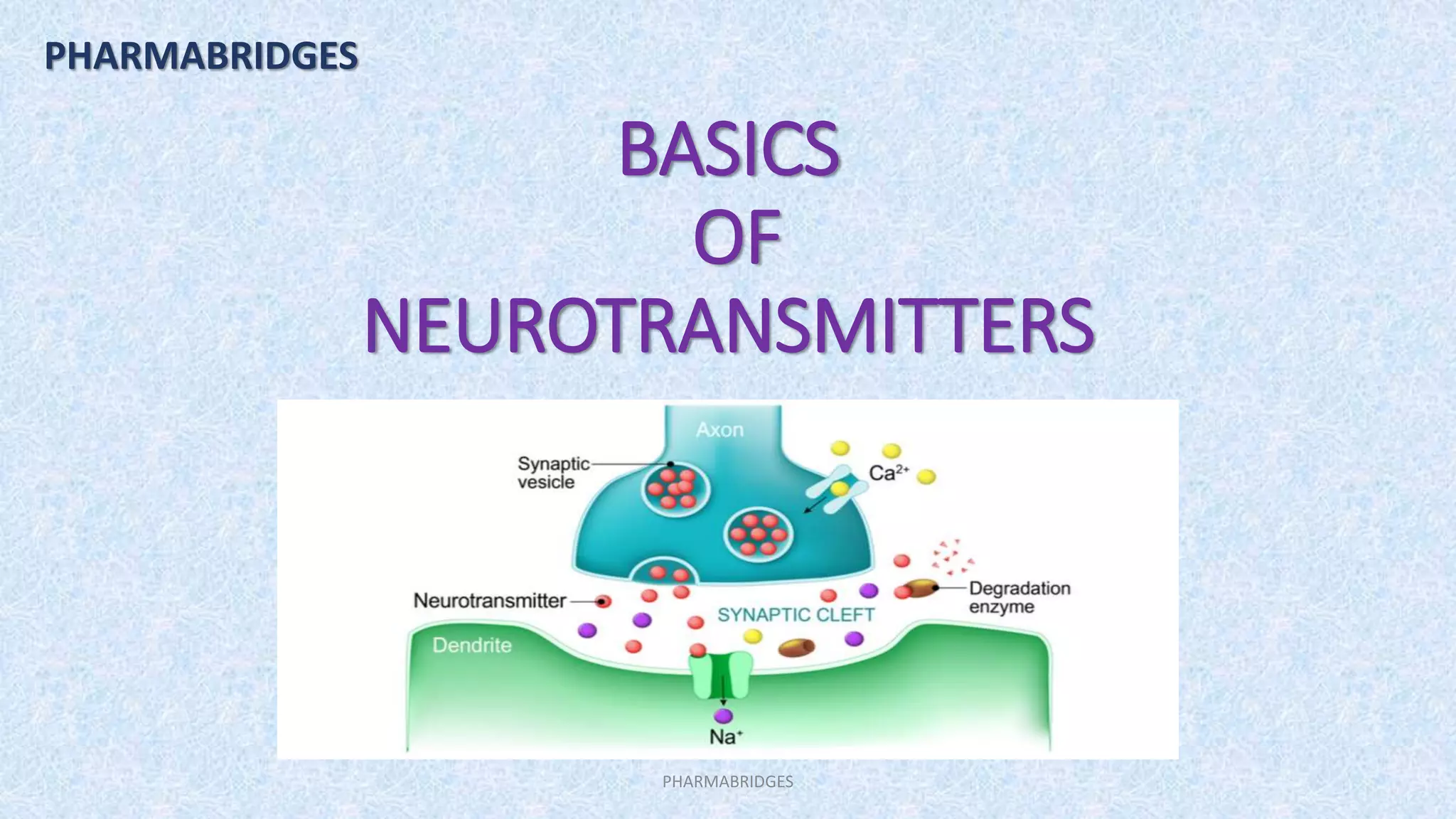 Basics of neurotransmitters | PPT
