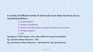 Basics of neurotransmitters | PPT