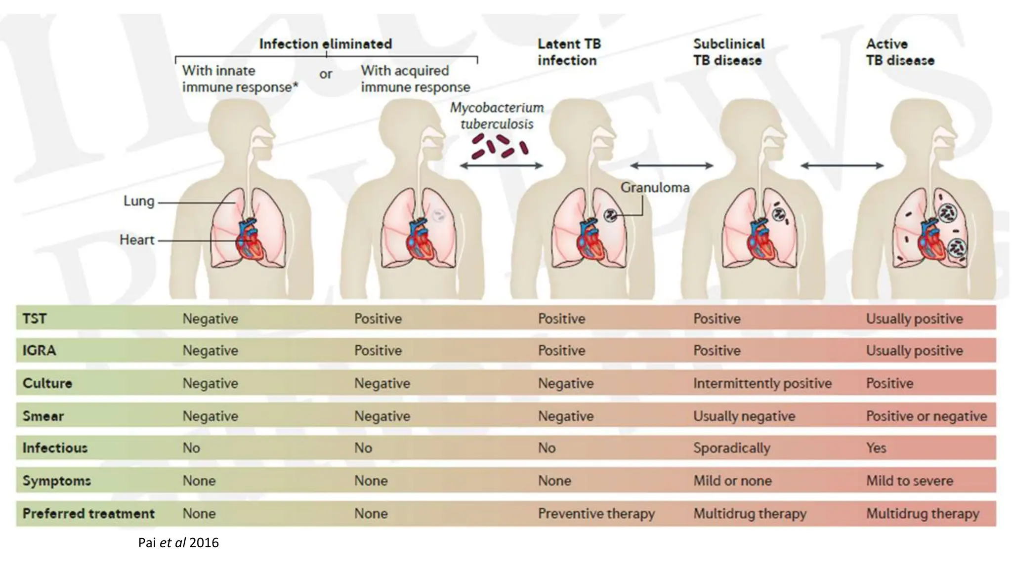 Basics of NTEP.pptx National tuberculosis Elimination programme | PPT
