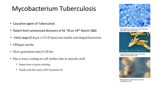 Basics of NTEP.pptx National tuberculosis Elimination programme | PPT