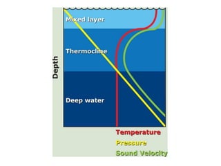 Basics of Oceanography - INCOIS - P K Bhaskaran.pdf