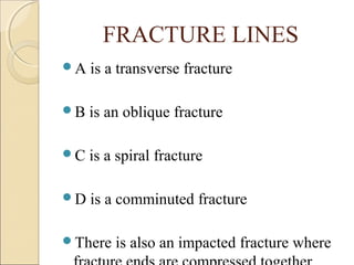 Basics of orthopedic radiology | PPT