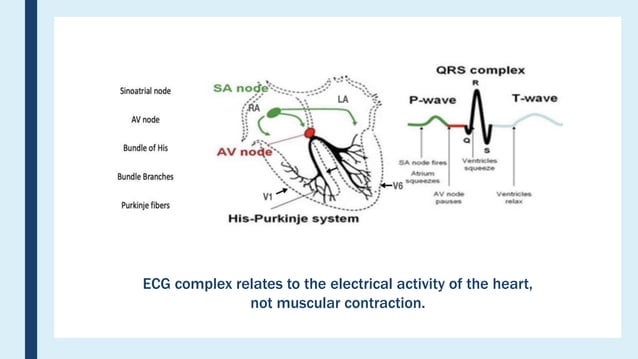 Basics of Paediatric ECG | PPTX