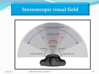 Basics of perimetry | PPTX