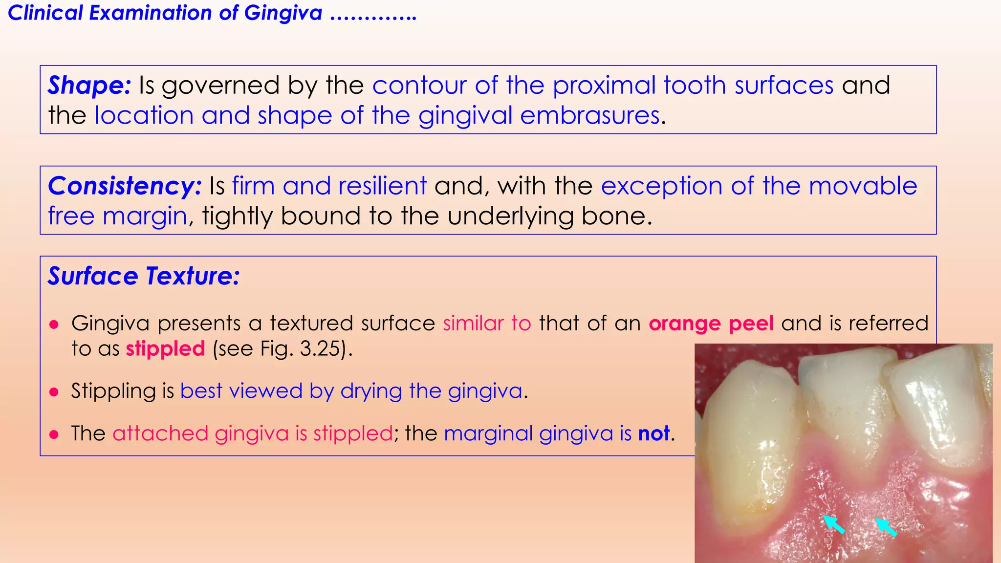 Basics of periodontology diagnosis and treatment | PDF
