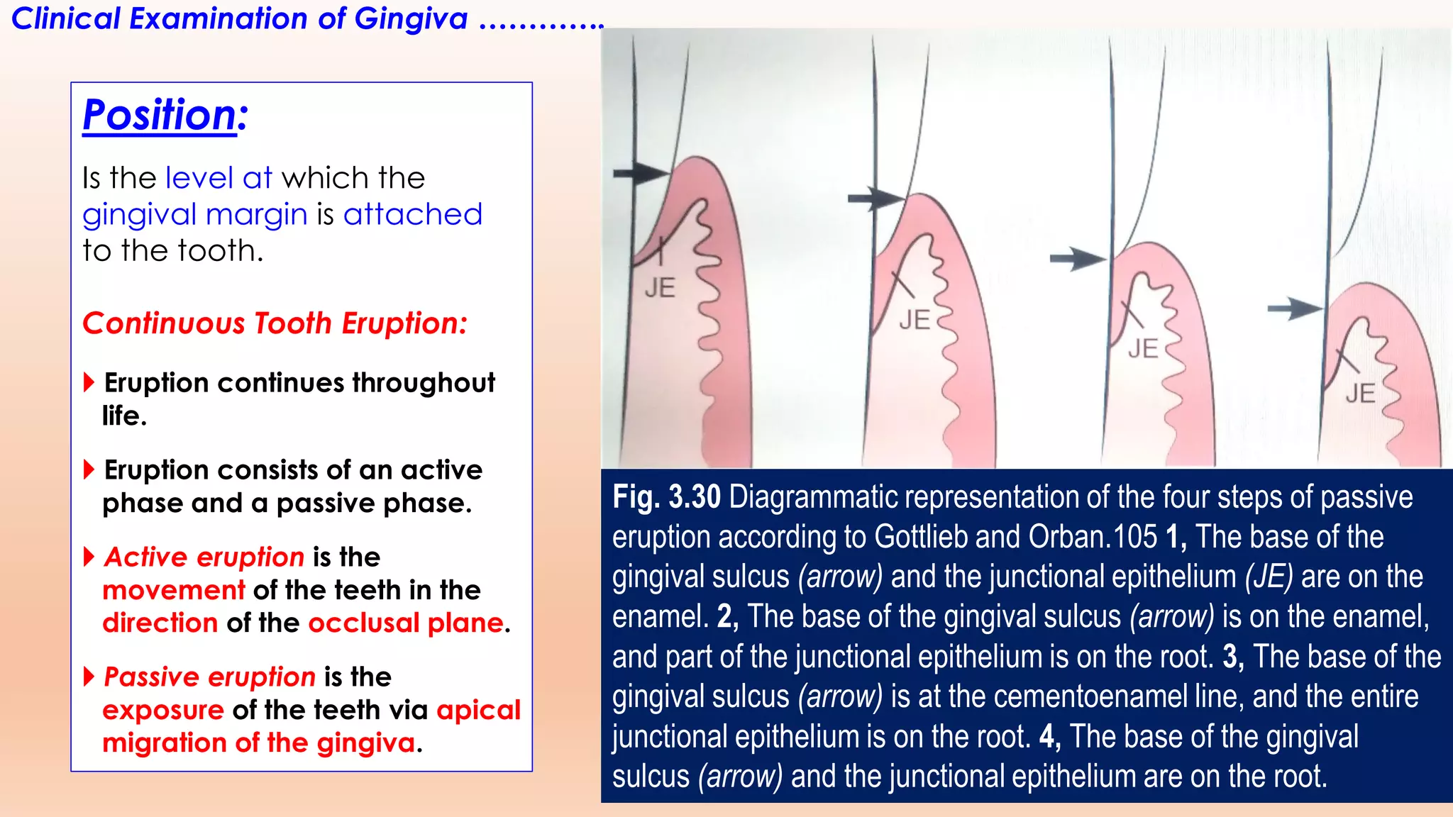 Basics of periodontology diagnosis and treatment | PDF
