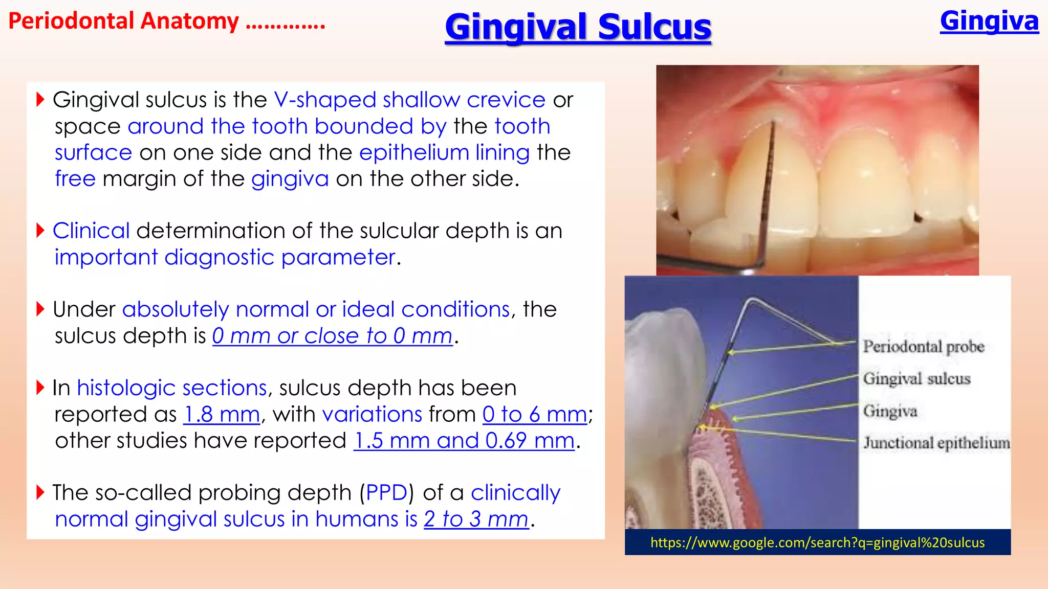 Basics of periodontology diagnosis and treatment | PDF