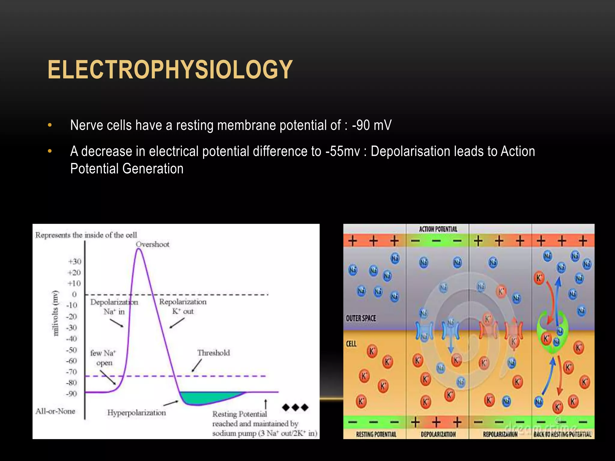 Basics of peripheral nerve stimulation | PPTX