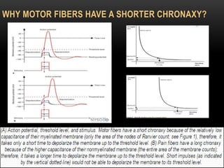 Basics of peripheral nerve stimulation | PPTX