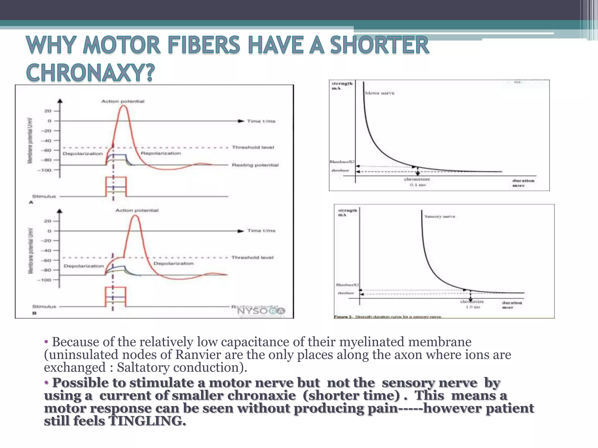 Basics of peripheral nerve stimulator and ultrasound | PPTX