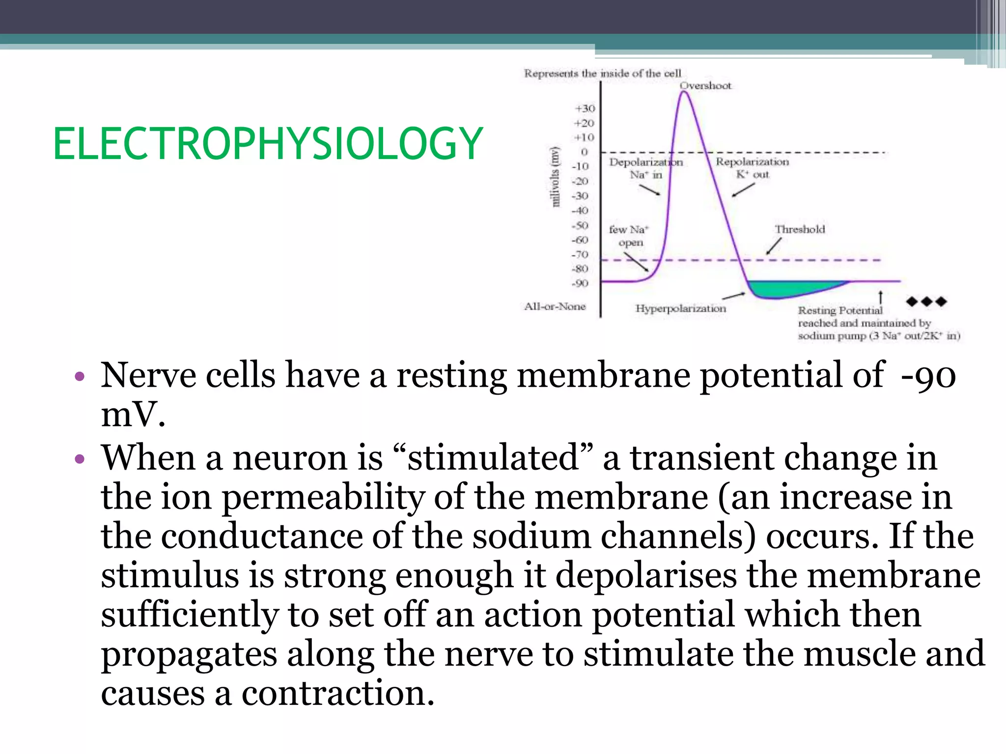 Basics of peripheral nerve stimulator and ultrasound | PPTX