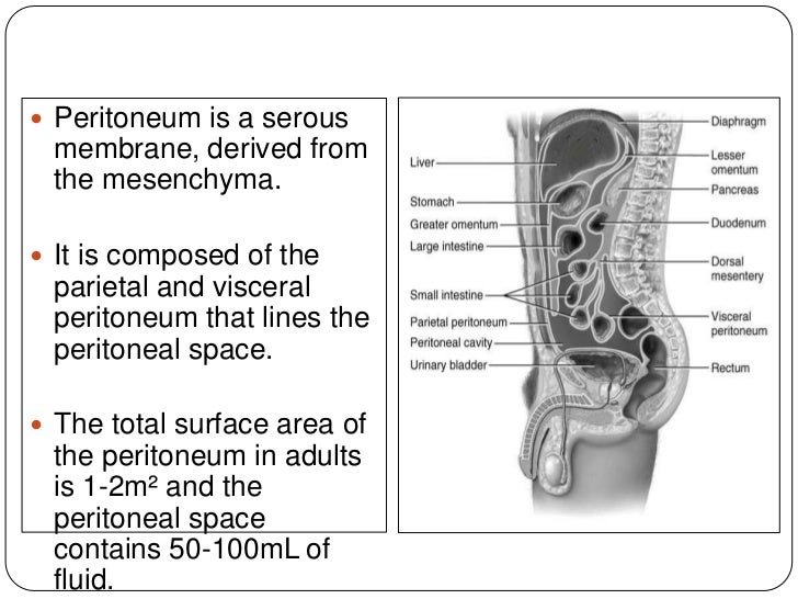 Basics of peritoneal dialysis
