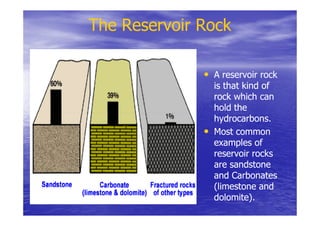 Basics of petroleum geology | PDF