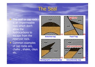 Basics of petroleum geology | PDF