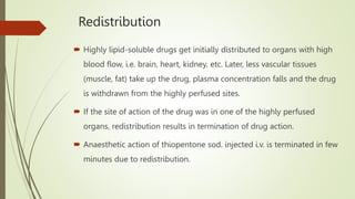 Basics of Pharmacokinetic.pptx