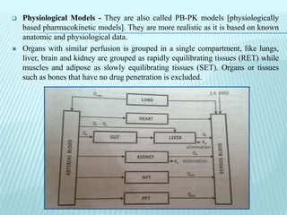 Basics of Pharmacokinetics | PPTX
