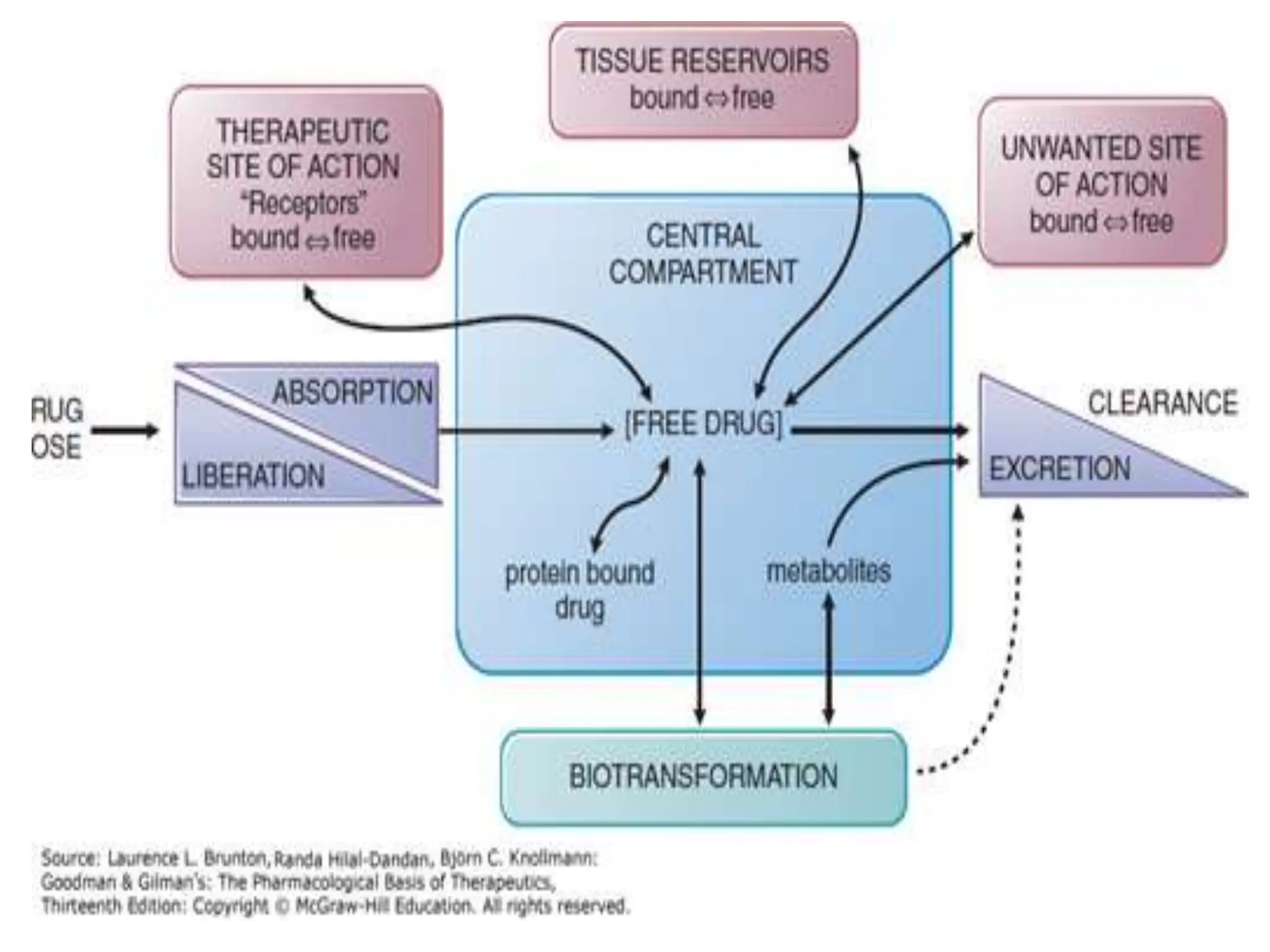 Basics of Pharmacology general pharmacology.....pptx