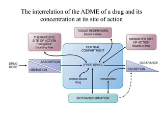 Basics of pharmacology w.s.r. to pharmacokinetics | PPTX