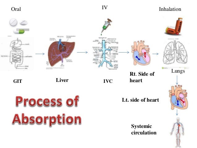 Basics of pharmacology w.s.r. to pharmacokinetics