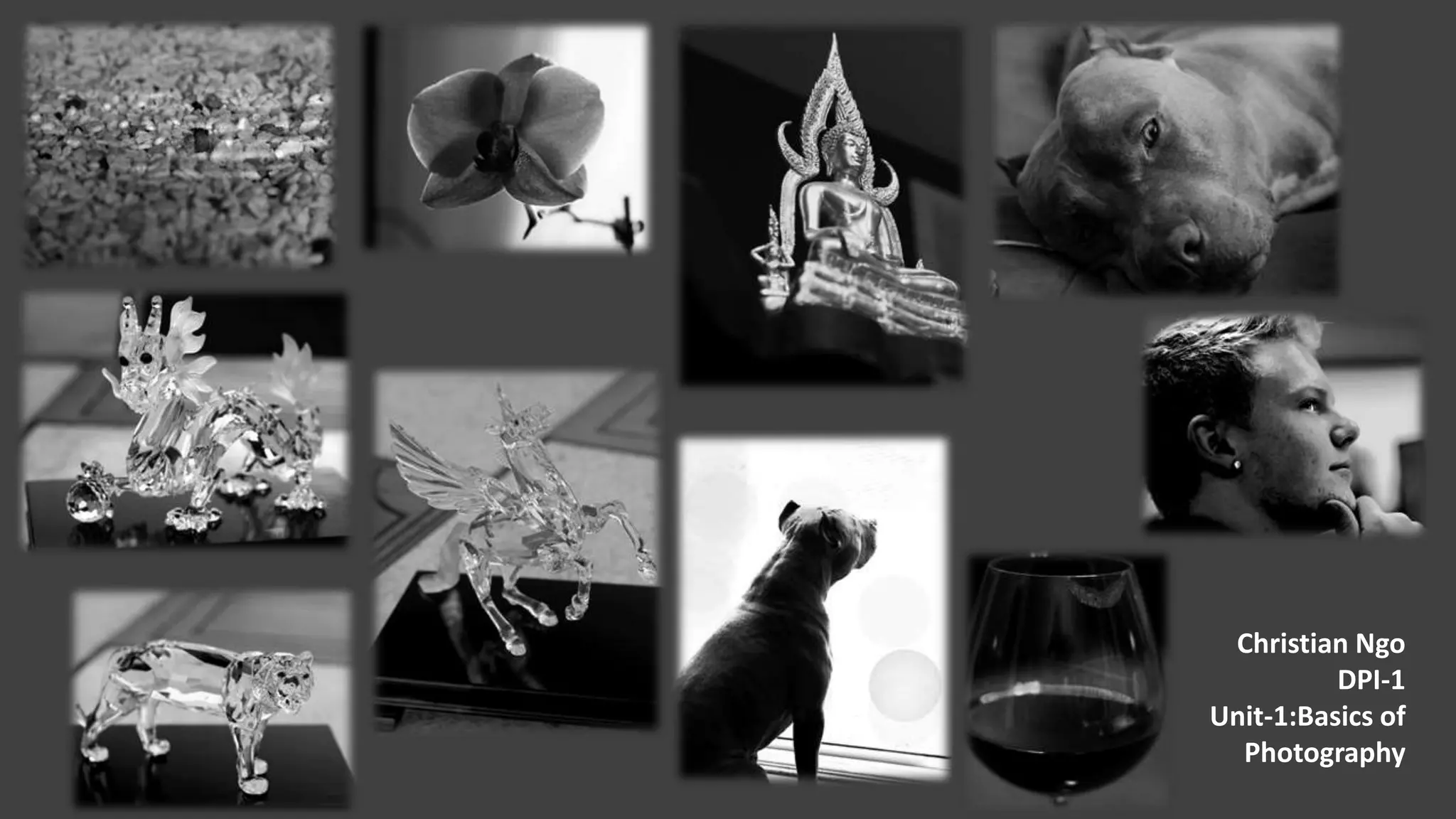 Basics of photography | PPTX