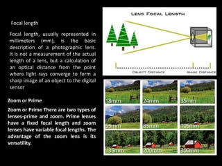Basics of photography | PPTX