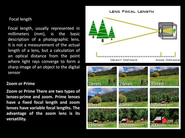 Basics of photography | PPTX | Photography | Arts and Crafts