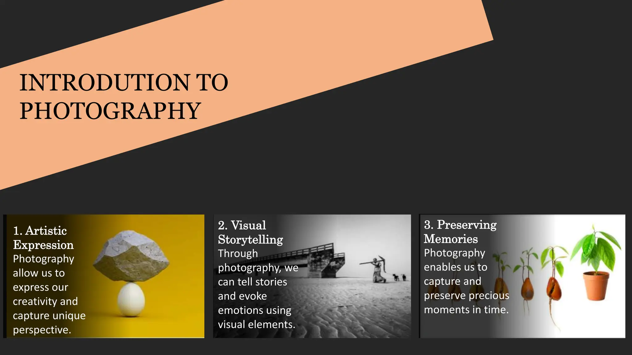 basics of photography by vivek.pptx