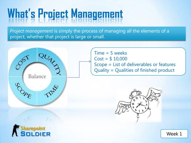 Basics of project management - Week 1 | PPTX | Business | Business and Finance