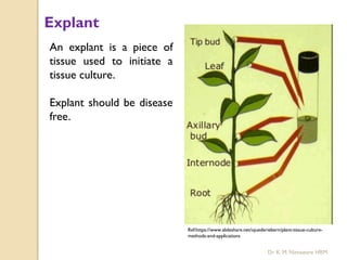 Basics of PTC (1).pdf basics of tissue culture | PDF