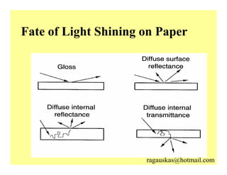 Basics of pulp bleaching | PDF
