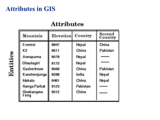 Basics of remote sensing and GIS.pptx