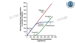Basics of tubular processing across renal tubule | PDF