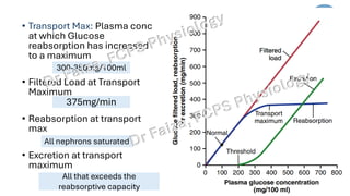 Basics of tubular processing across renal tubule | PDF