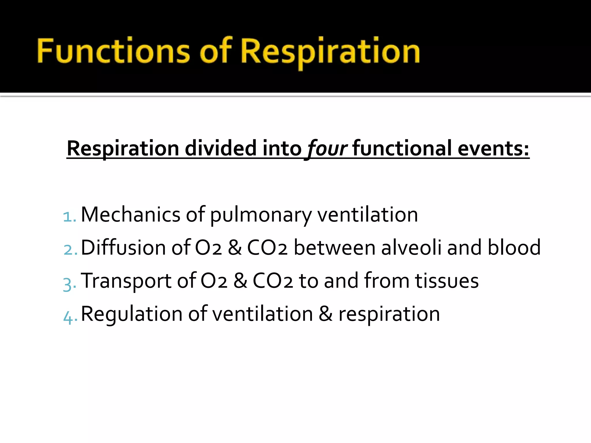 Basics of respiration | PPTX