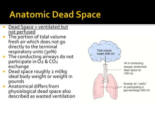 Basics of respiration | PPTX