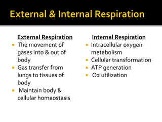 Basics of respiration | PPTX