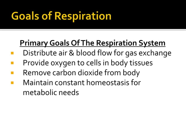 Basics of respiration | PPT