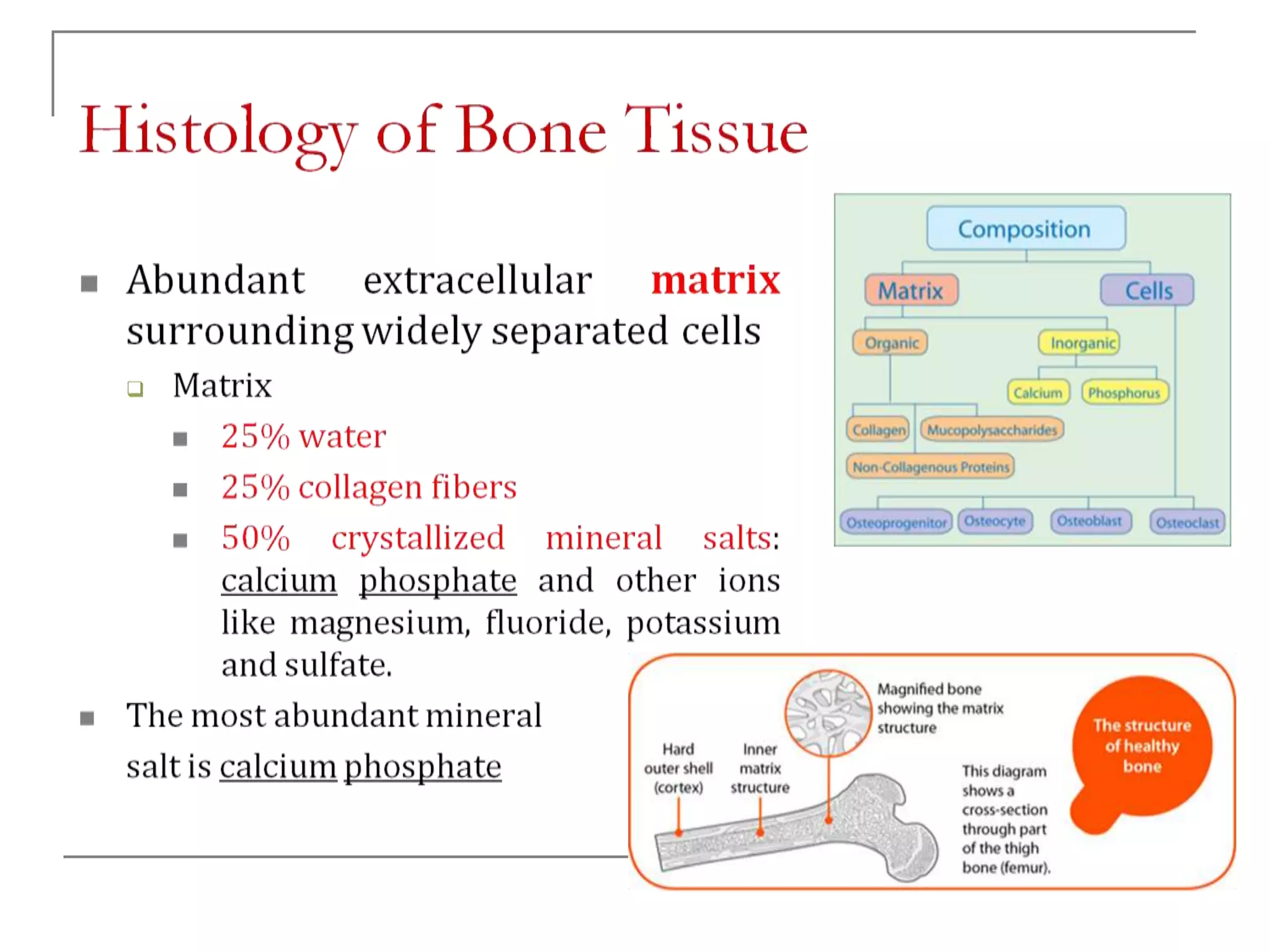 Basics of skeletal system | PPTX