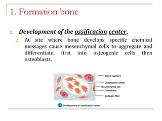 Basics of skeletal system | PPTX