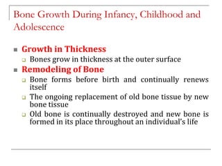 Basics of skeletal system | PPTX