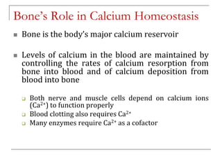 Basics of skeletal system | PPTX