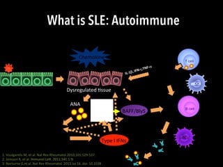 Basics of SLE | PPT