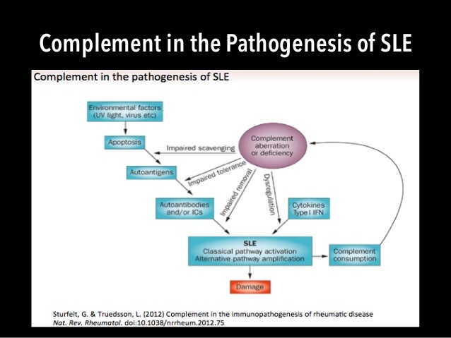 Basics of SLE
