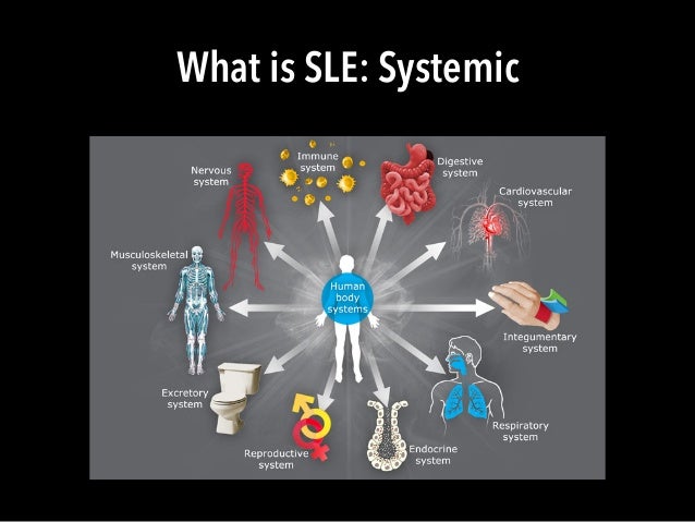 Basics of SLE