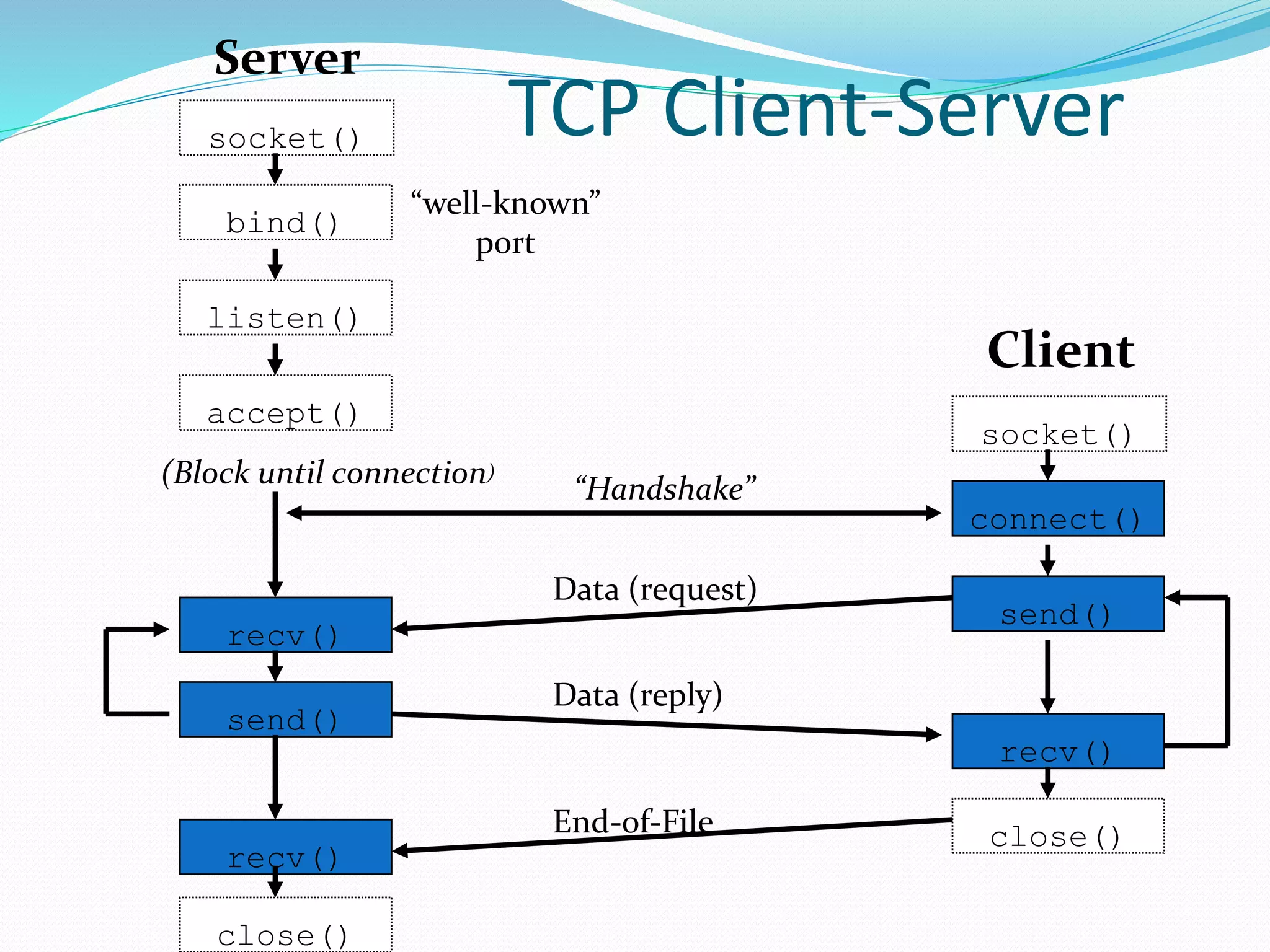 Basics of sockets | PPTX