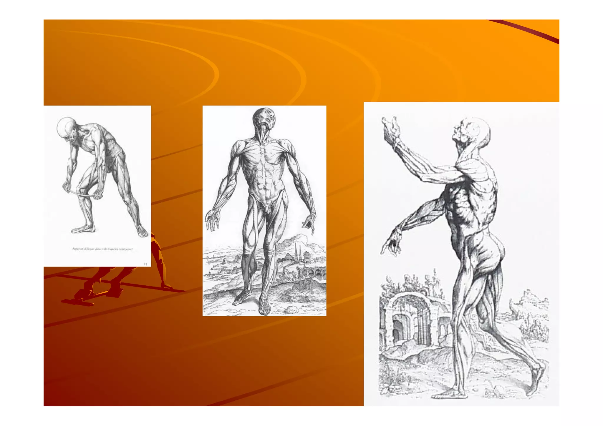 Basics of soft tissue examination | PDF