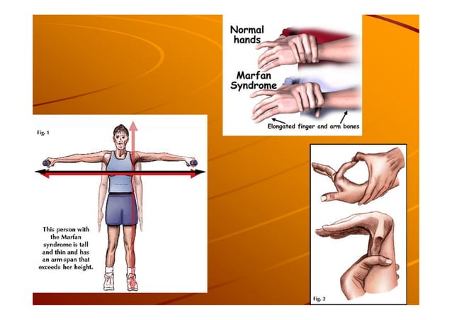 Basics of soft tissue examination | PDF