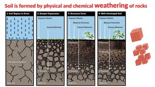 Basics of Soil Science an introduction.pptx